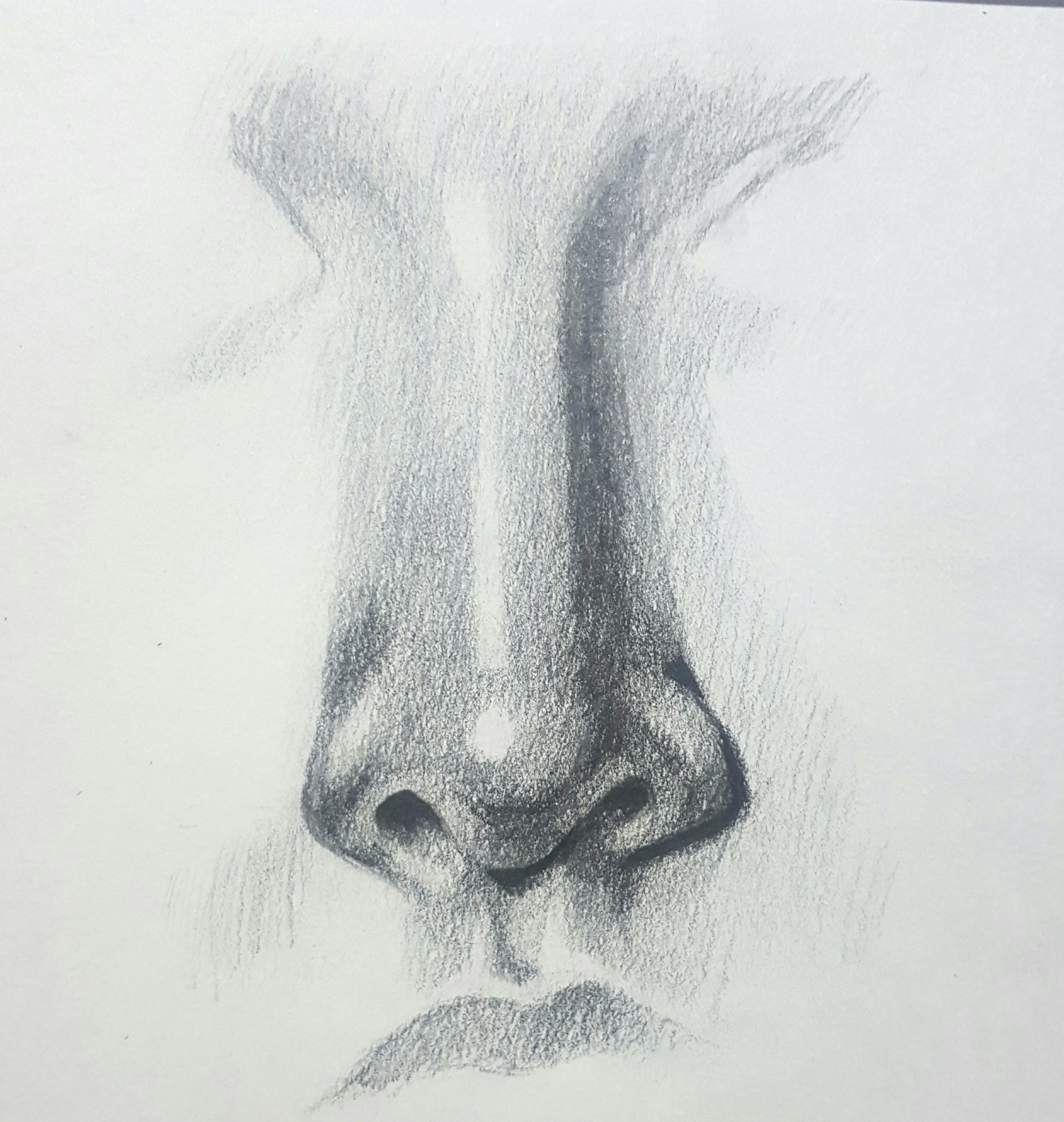 TUTORIAL 10: HOW TO DRAW A NOSE BY SKETCHING – Passion @ Heart